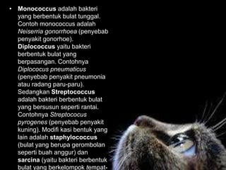 Biologi - Eubacteria kelas X SMA sem.1 | PPTX