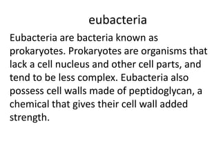 Eubacteria | PPTX