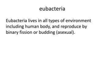Eubacteria Environment