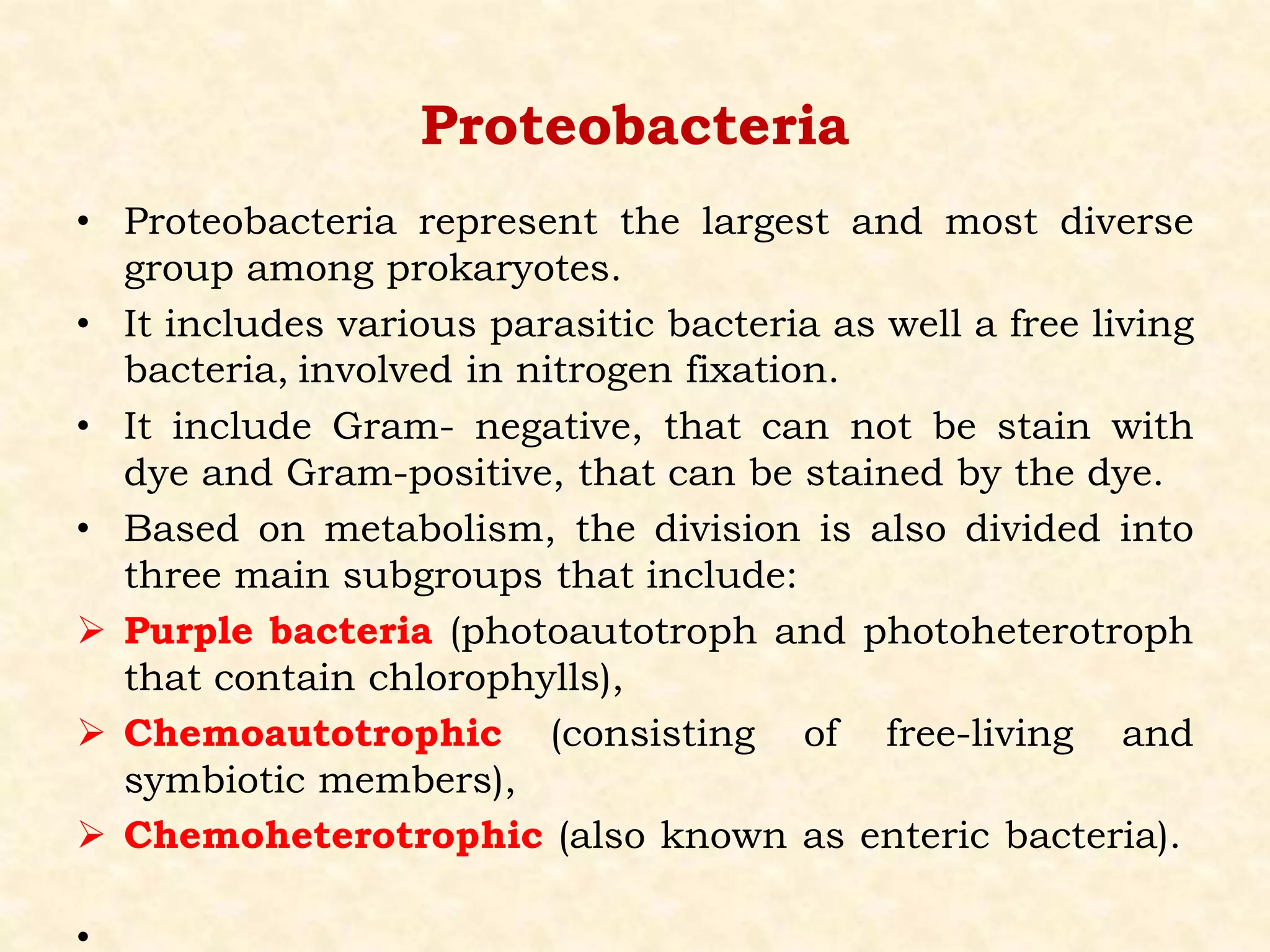 Eubacteria | PPTX