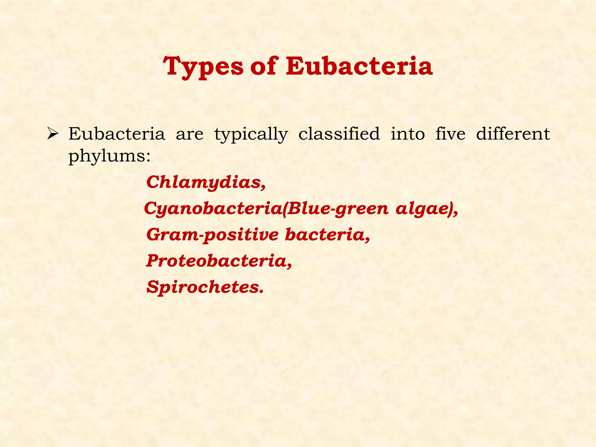 Eubacteria | PPTX