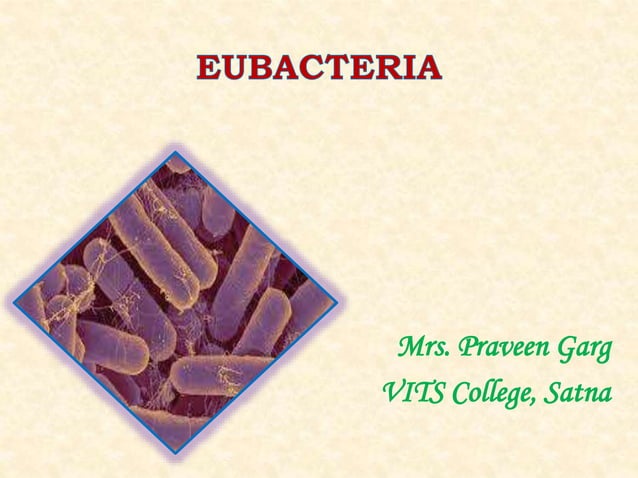 Eubacteria | PPTX | Biological Sciences | Science