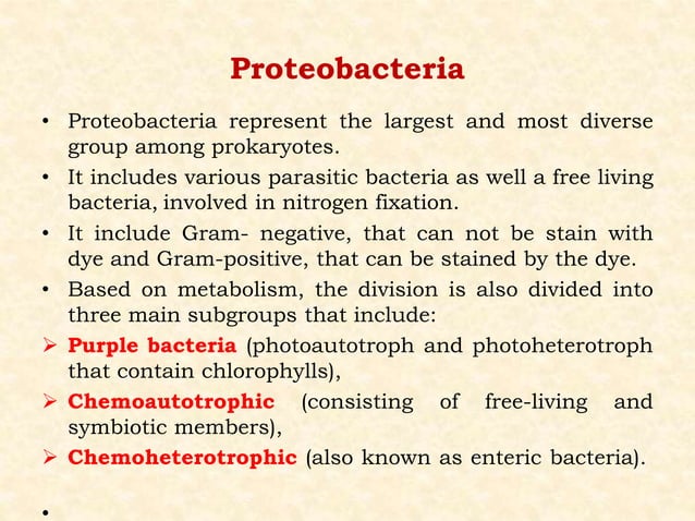 Eubacteria | PPTX | Biological Sciences | Science