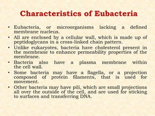 Eubacteria | PPTX