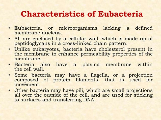Eubacteria | PPTX | Biological Sciences | Science