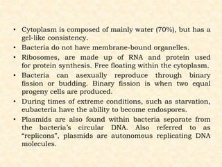 Eubacteria | PPTX