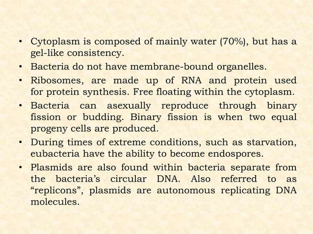 Eubacteria | PPTX | Biological Sciences | Science