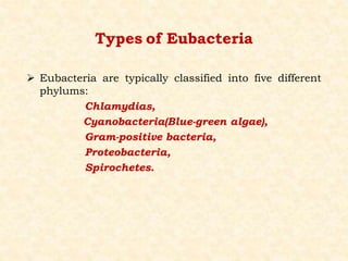 Eubacteria | PPTX