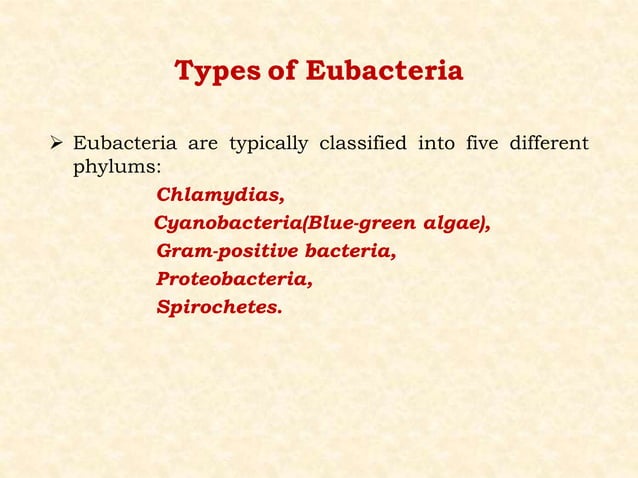 Eubacteria | PPTX | Biological Sciences | Science