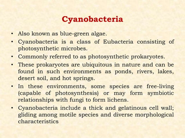 Eubacteria | PPTX | Biological Sciences | Science