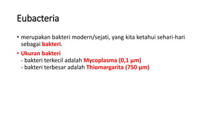 Eubacteria.pptx