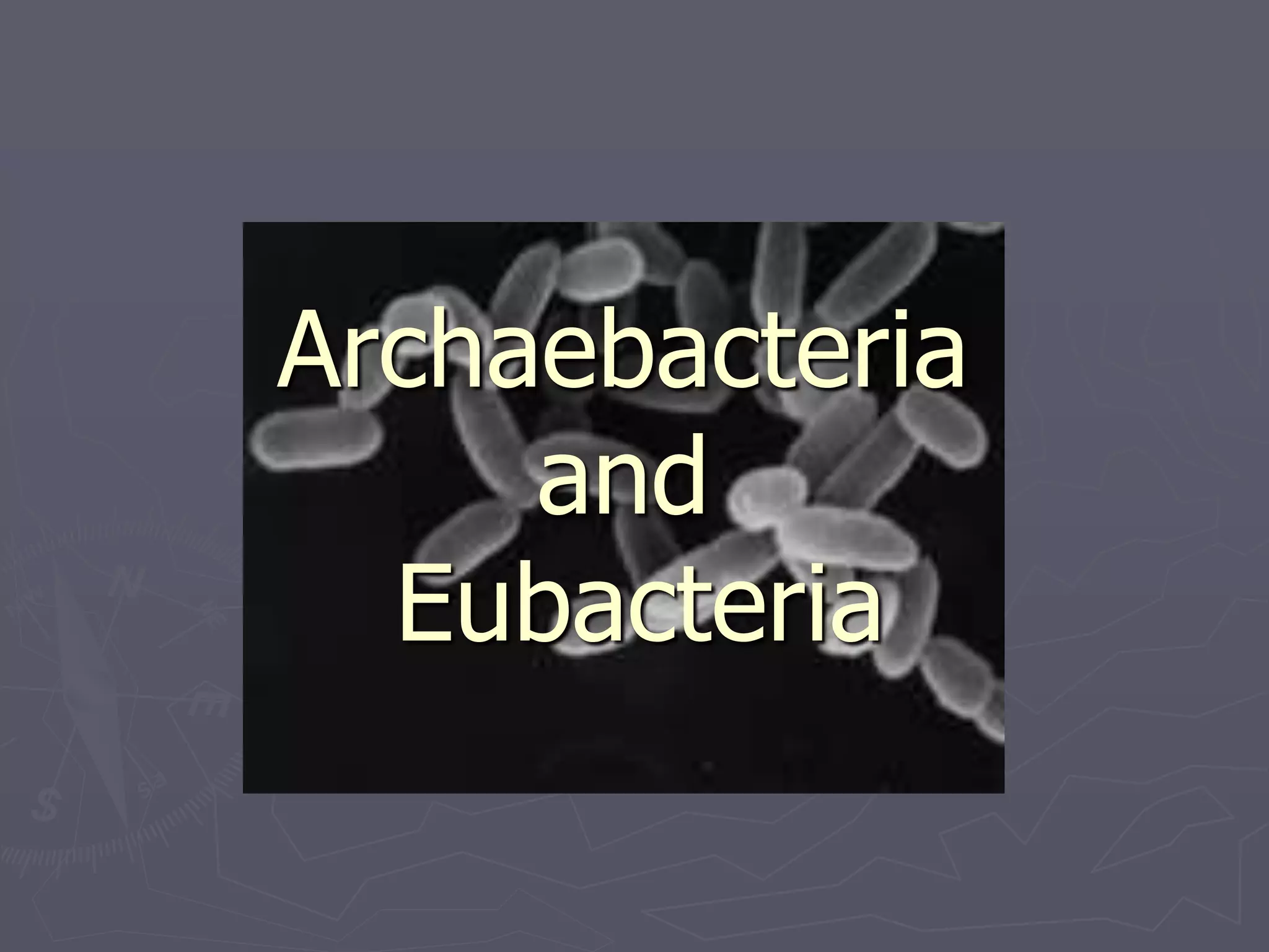 Eubacteria_and_Archaebacteria.ppt