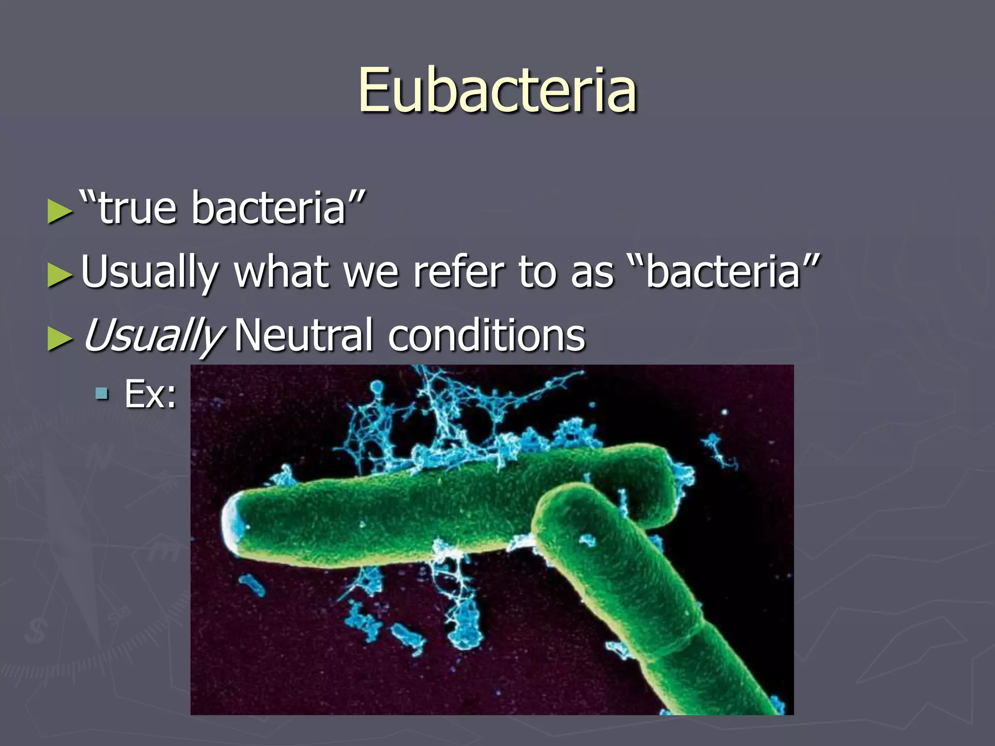 Eubacteria_and_Archaebacteria.ppt