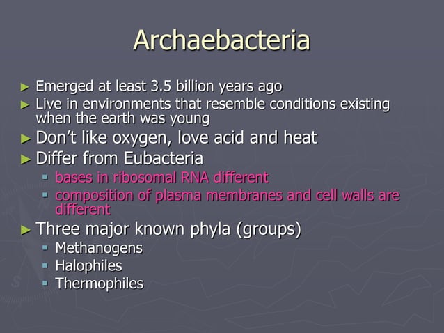 Eubacteria_and_Archaebacteria.ppt | Chemistry | Science