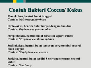 Eubacteria dan archaebacteria | PPT