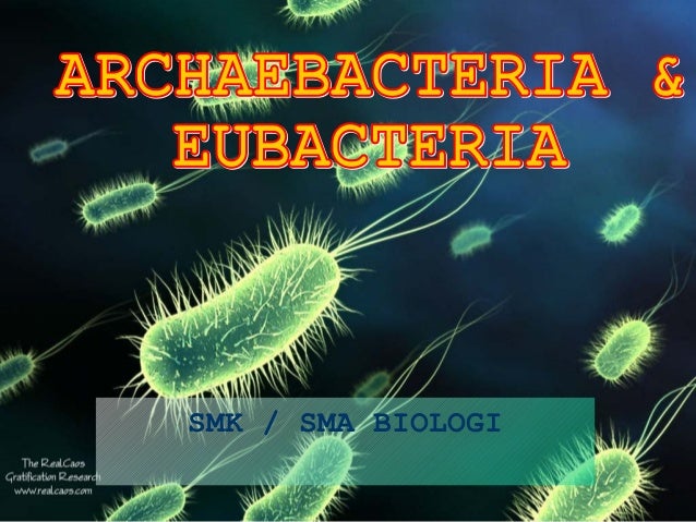 Eubacteria Dan Archaebacteria Pdf