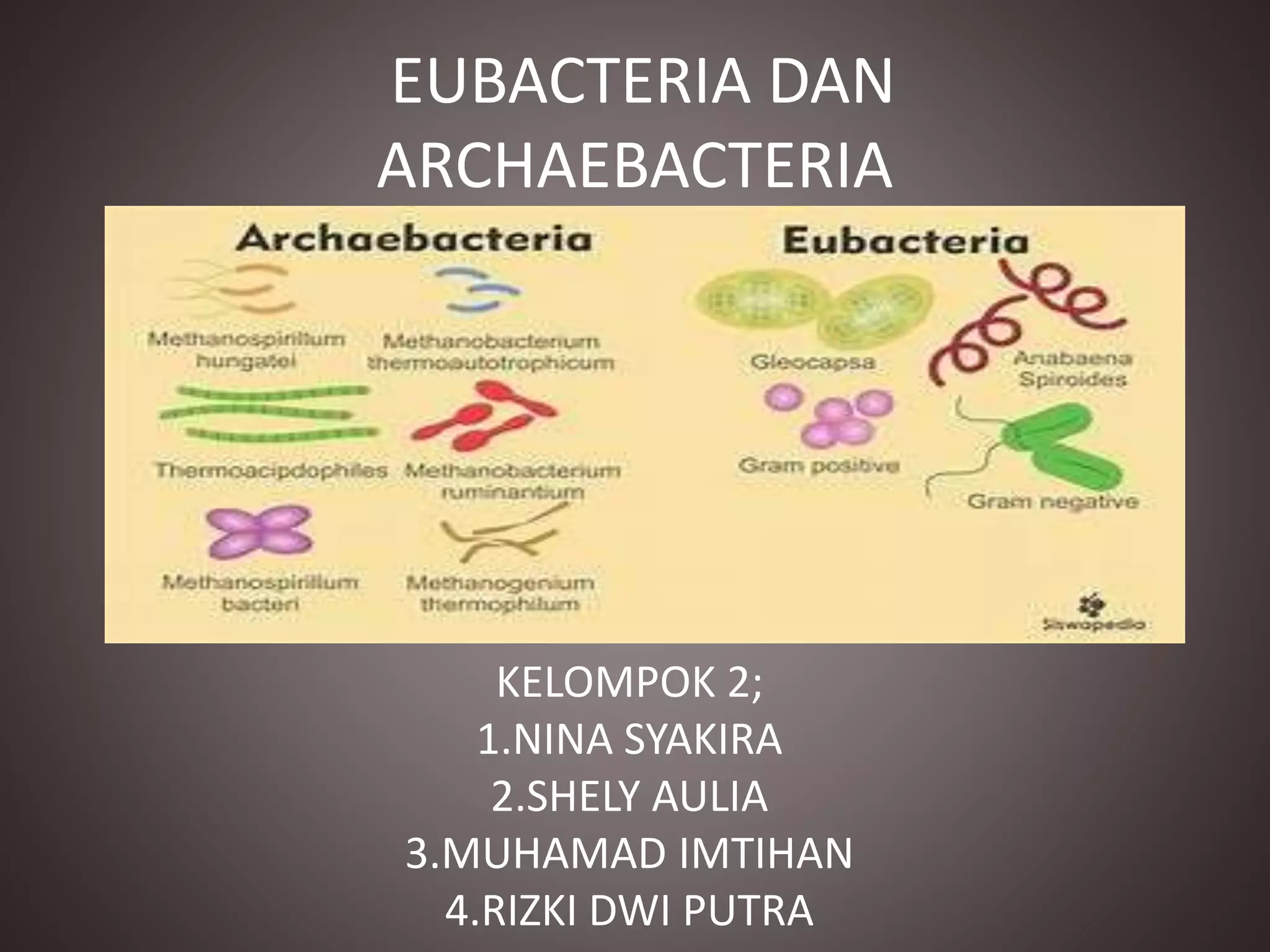 EUBACTERIA DAN ARCHAEBACTERIA.pptx