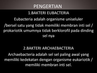 EUBACTERIA DAN ARCHAEBACTERIA.pptx