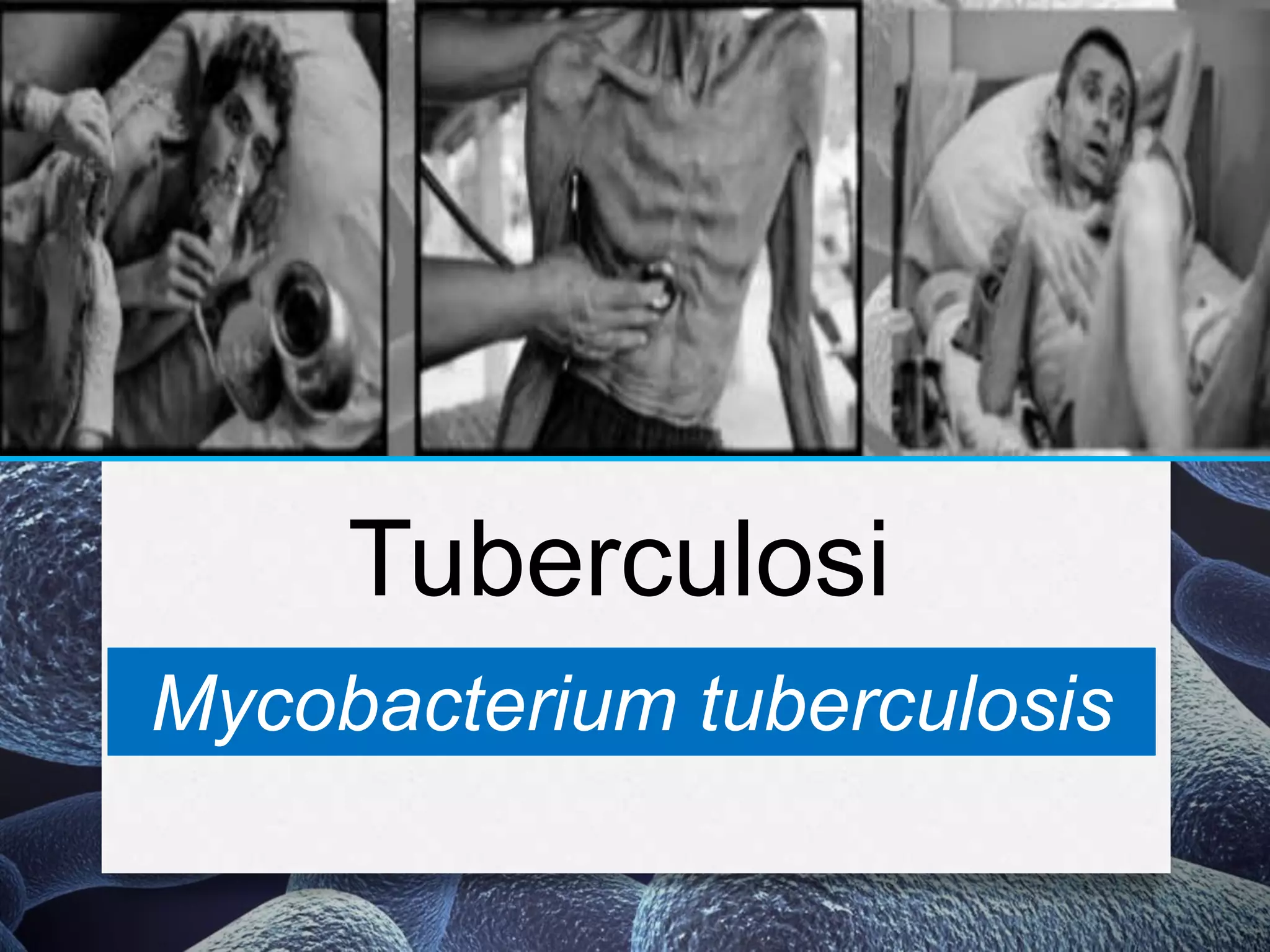 Eubacteria Kingdom.pptx