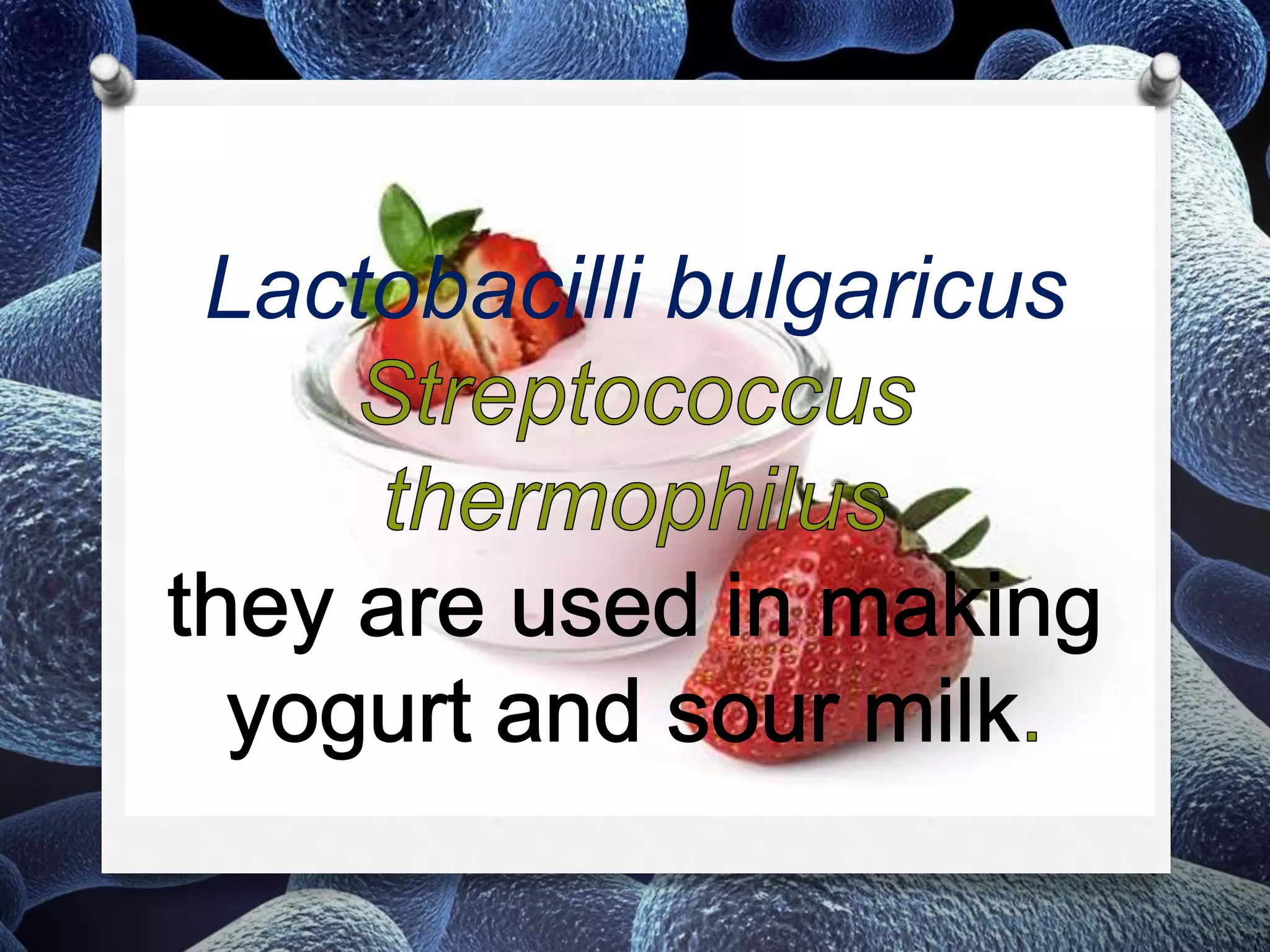 Eubacteria Kingdom.pptx