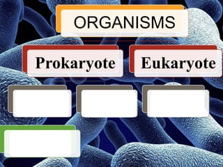 Eubacteria Kingdom.pptx