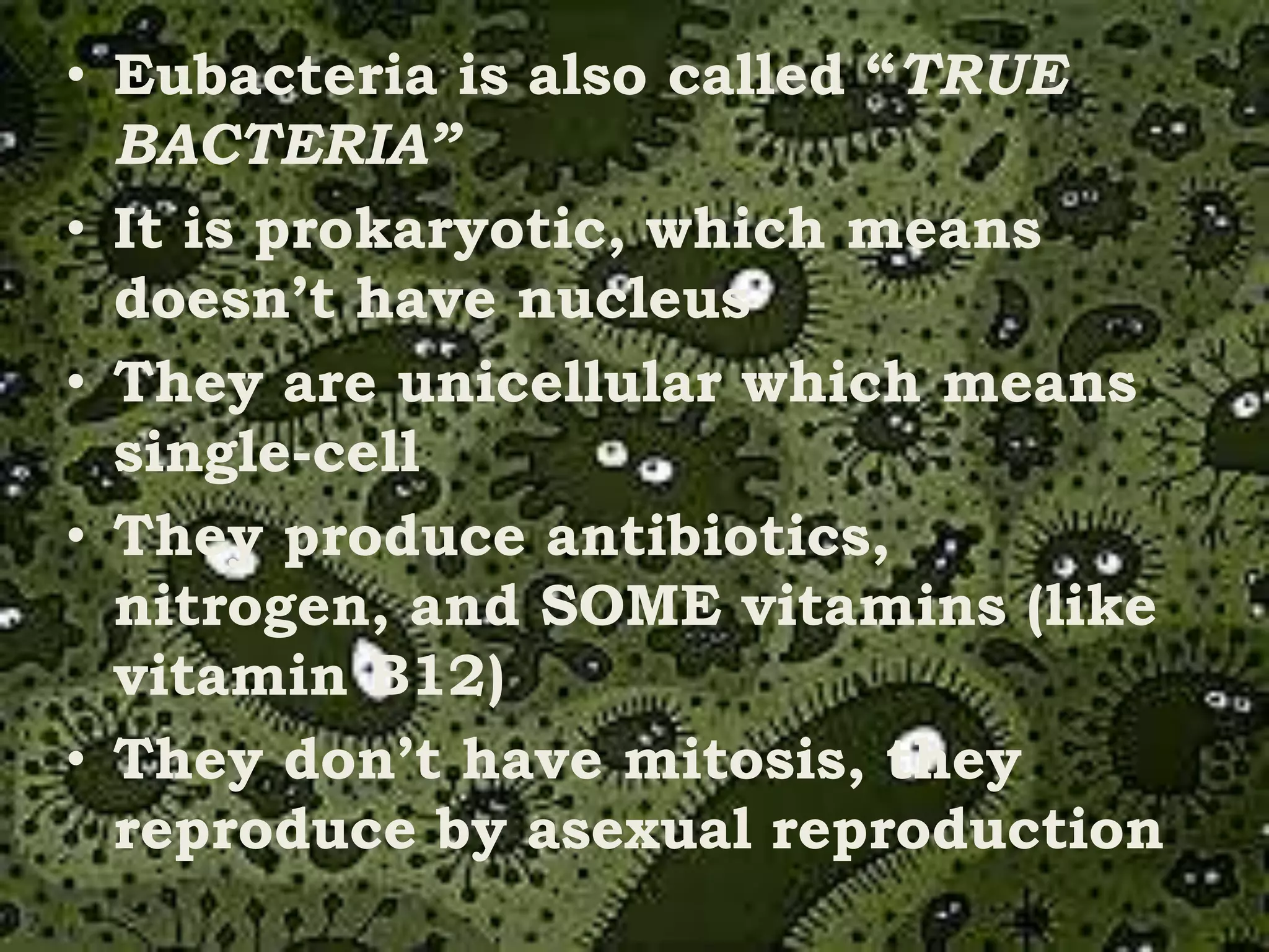 The Eubacteria | PPTX | Chemistry | Science