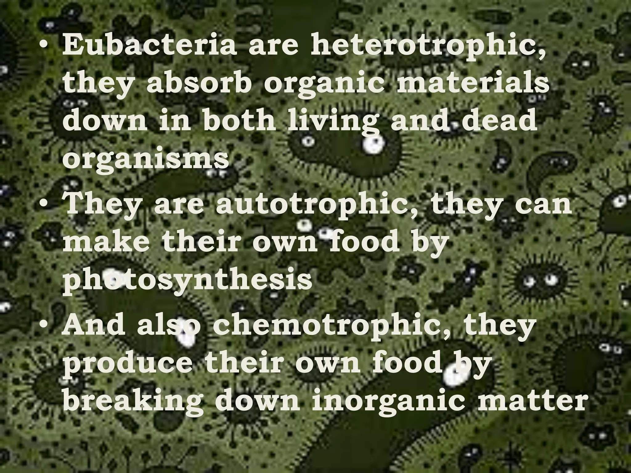 The Eubacteria | PPTX | Chemistry | Science