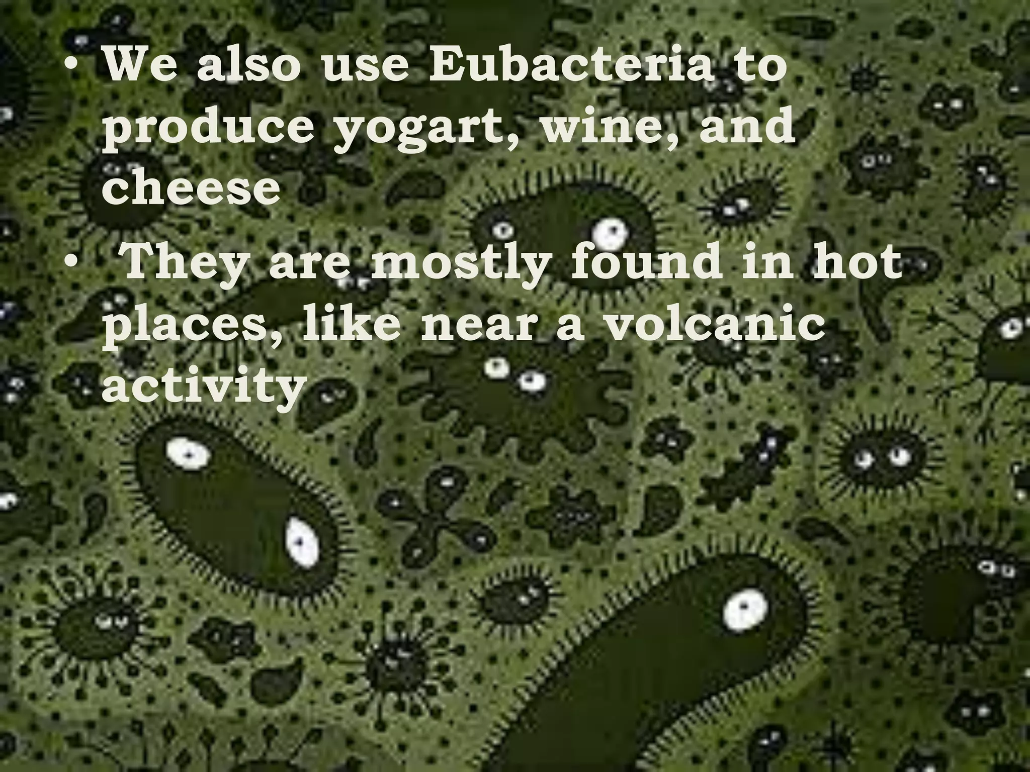 The Eubacteria | PPTX | Chemistry | Science