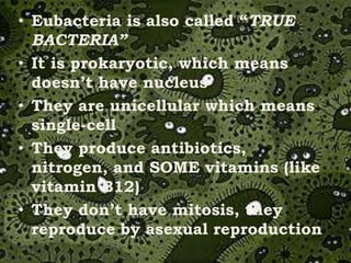 The Eubacteria | PPTX | Chemistry | Science