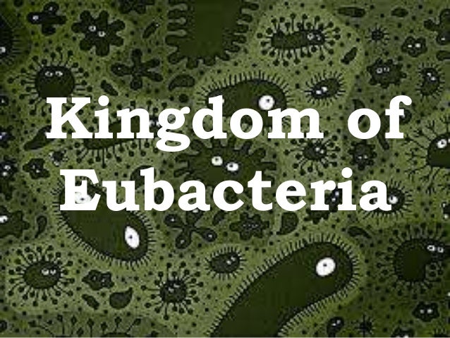 Examples Of Eubacteria