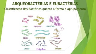 Eubactérias e Arqueobactérias.pptx