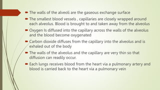 GASEOUS_EXCHANGE.pptx for biology csec students | PPTX