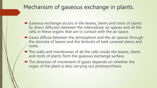 GASEOUS_EXCHANGE.pptx for biology csec students | PPTX