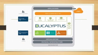 Eucalyptus | PPTX