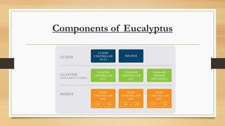 Eucalyptus | PPTX