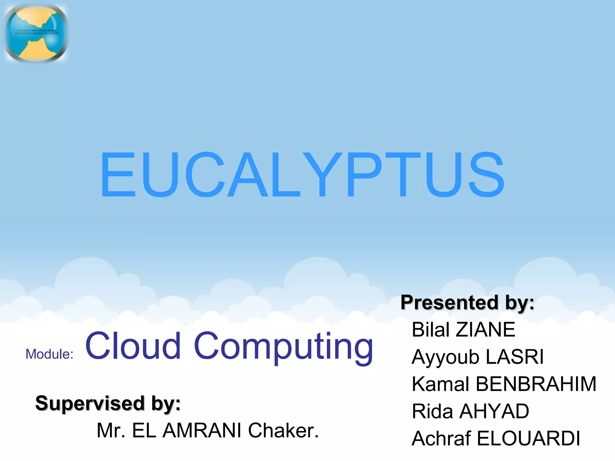 Eucalyptus presentation ( LSI cloud computing ) | PPT