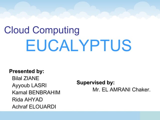 Eucalyptus Presentation Lsi Cloud Computing Ppt Cloud Computing Internet
