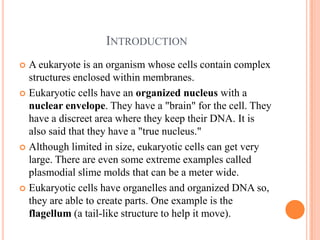 Eukaryotic cell | PPTX