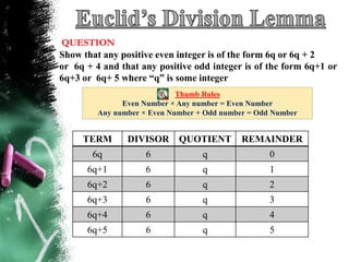 Euclid's division algorithm | PPTX