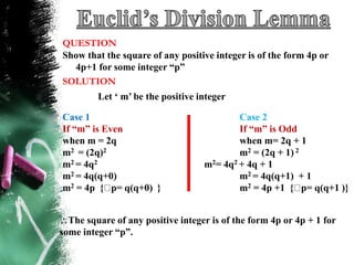Euclid's division algorithm | PPTX