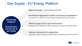 EU Commission DG EMPL presentation Madrid energy poverty.pptx