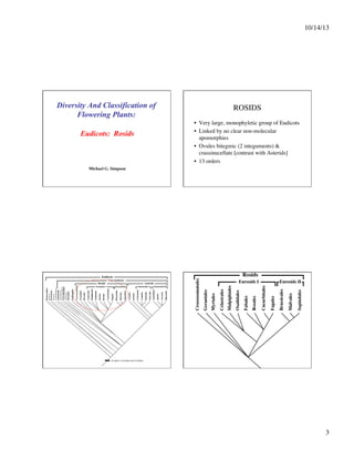 Eudicots rosids fs2013.ppt | Gardening | Home & Garden