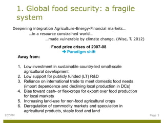 EU and global food security: Donor or competitor? | PPT