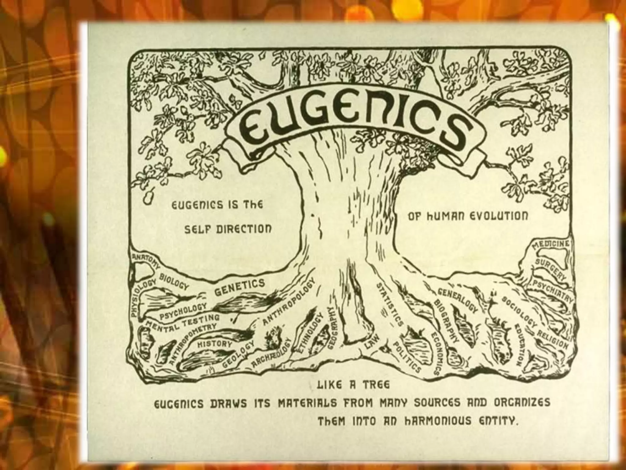 Unit-II: Eugenics | PDF
