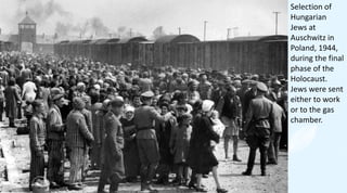 Eugenics Under Jim Crow America and Nazi Germany: Sterilization ...