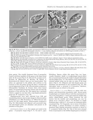 Euglena | PDF
