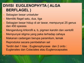 Euglena kel 3.pptx [Repaired].pptx