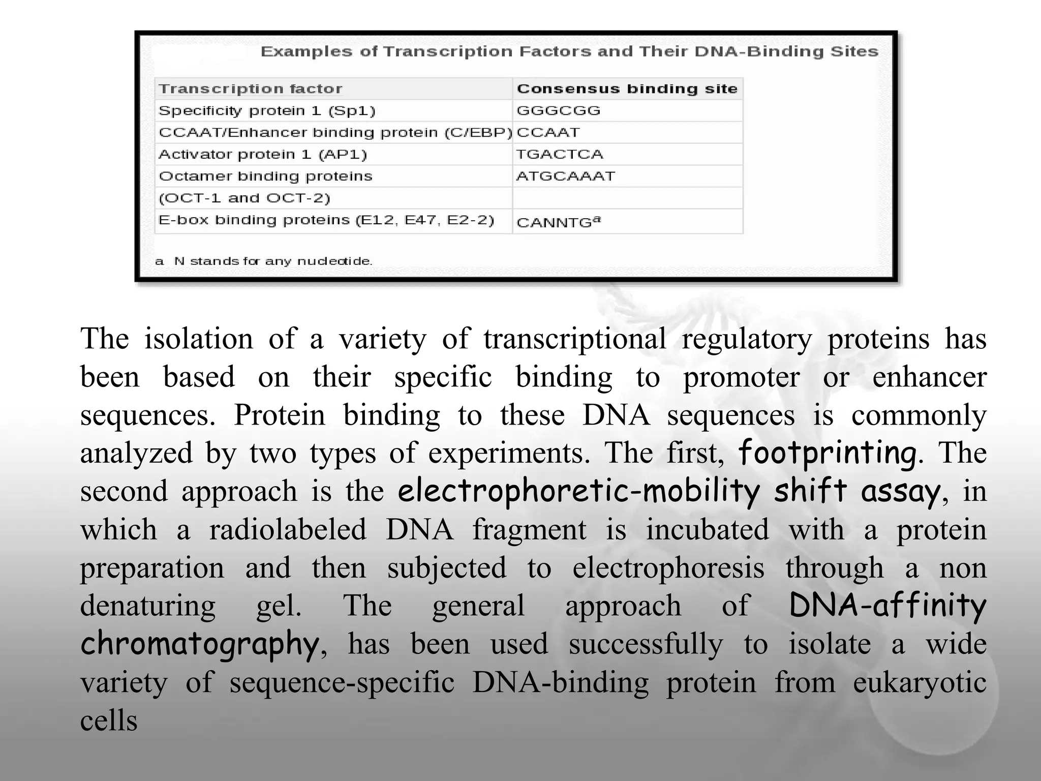 Regulation of Transcription in Eukaryotes | PPTX