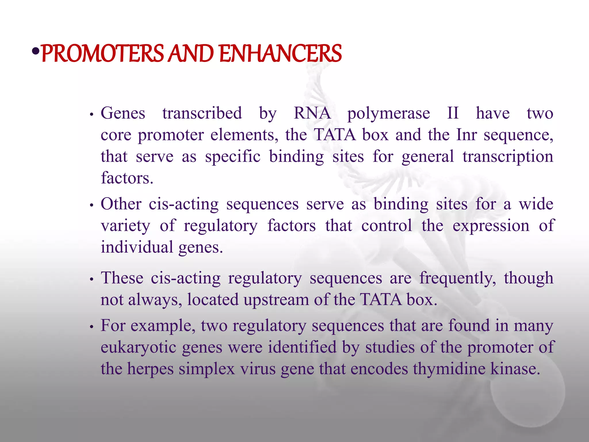 Regulation of Transcription in Eukaryotes | PPTX