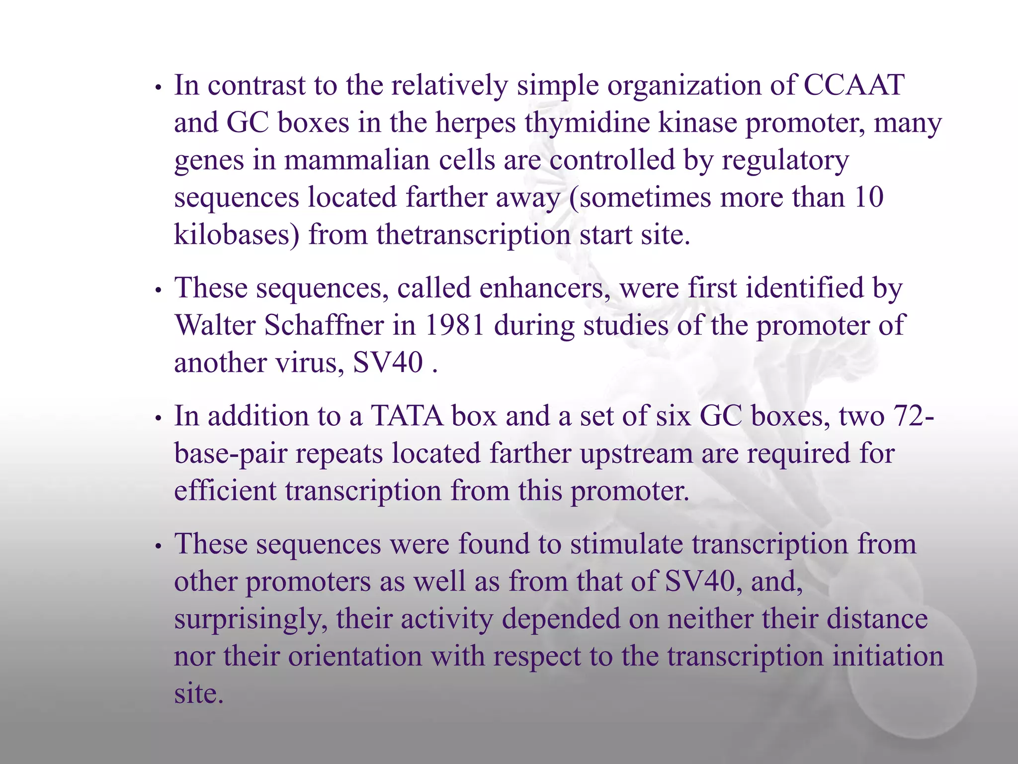 Regulation of Transcription in Eukaryotes | PPTX